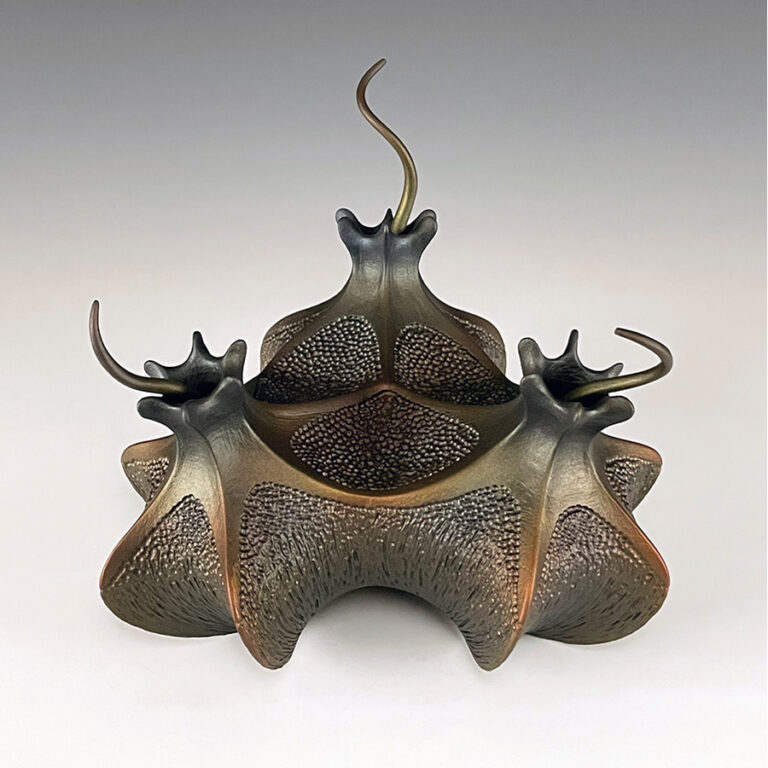 Carved Form & Surface Embellishments in Woodturning with Heather ...